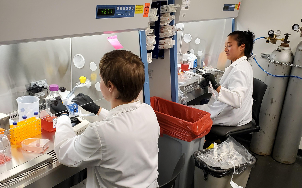 Lab Photos | Lab Template | Research | Cancer Biology | COM