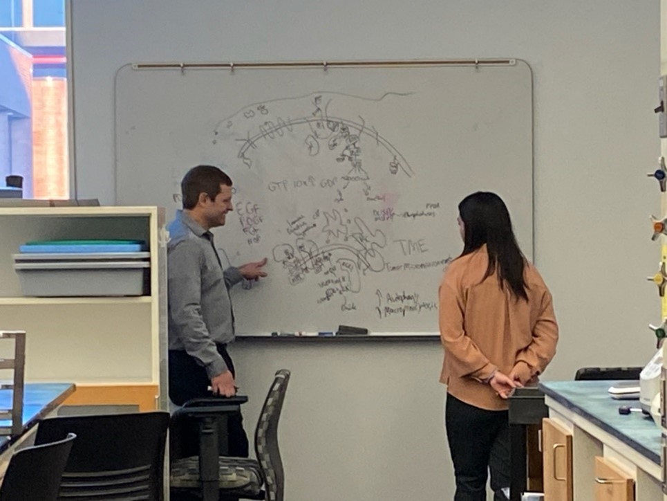 Lab Photos | Waters Lab | Research | Cancer Biology | UC Medicine